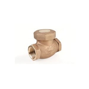 United 50T - 1 Spring Loaded Lift Check Valve, 1 in Nominal, Thread End ...